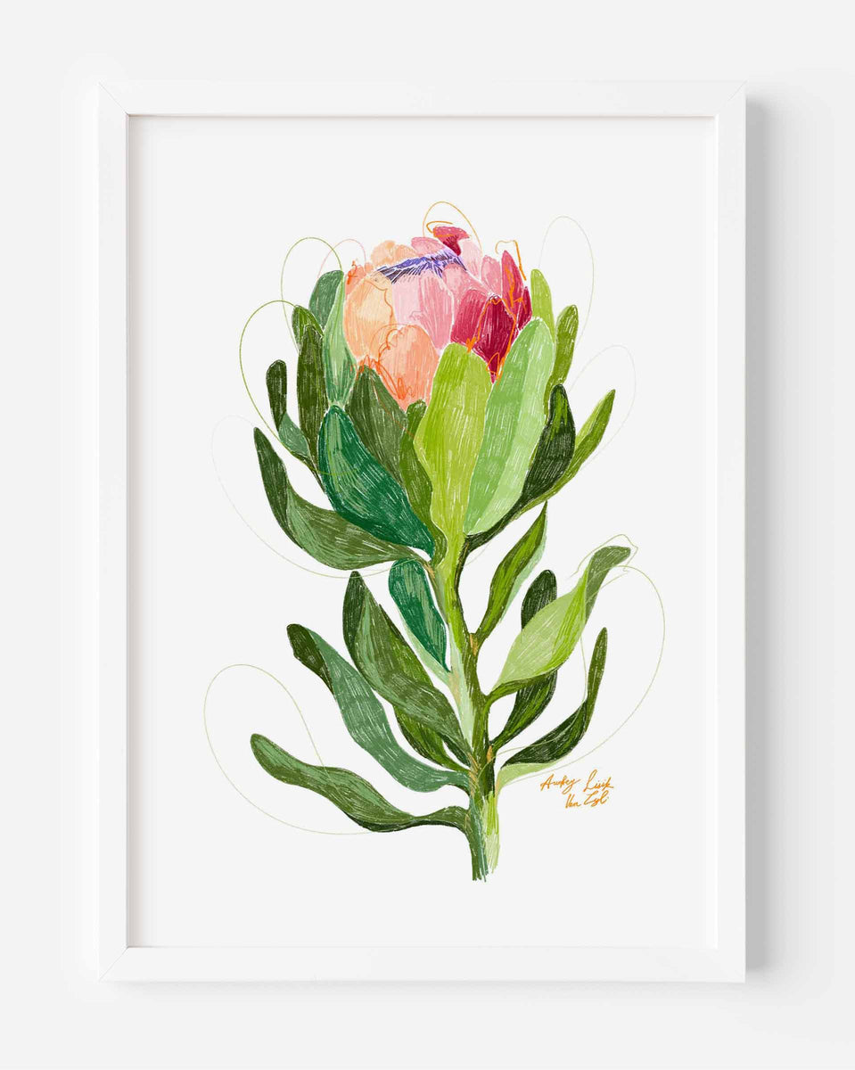Protea 4.0 – Audrey Lisik